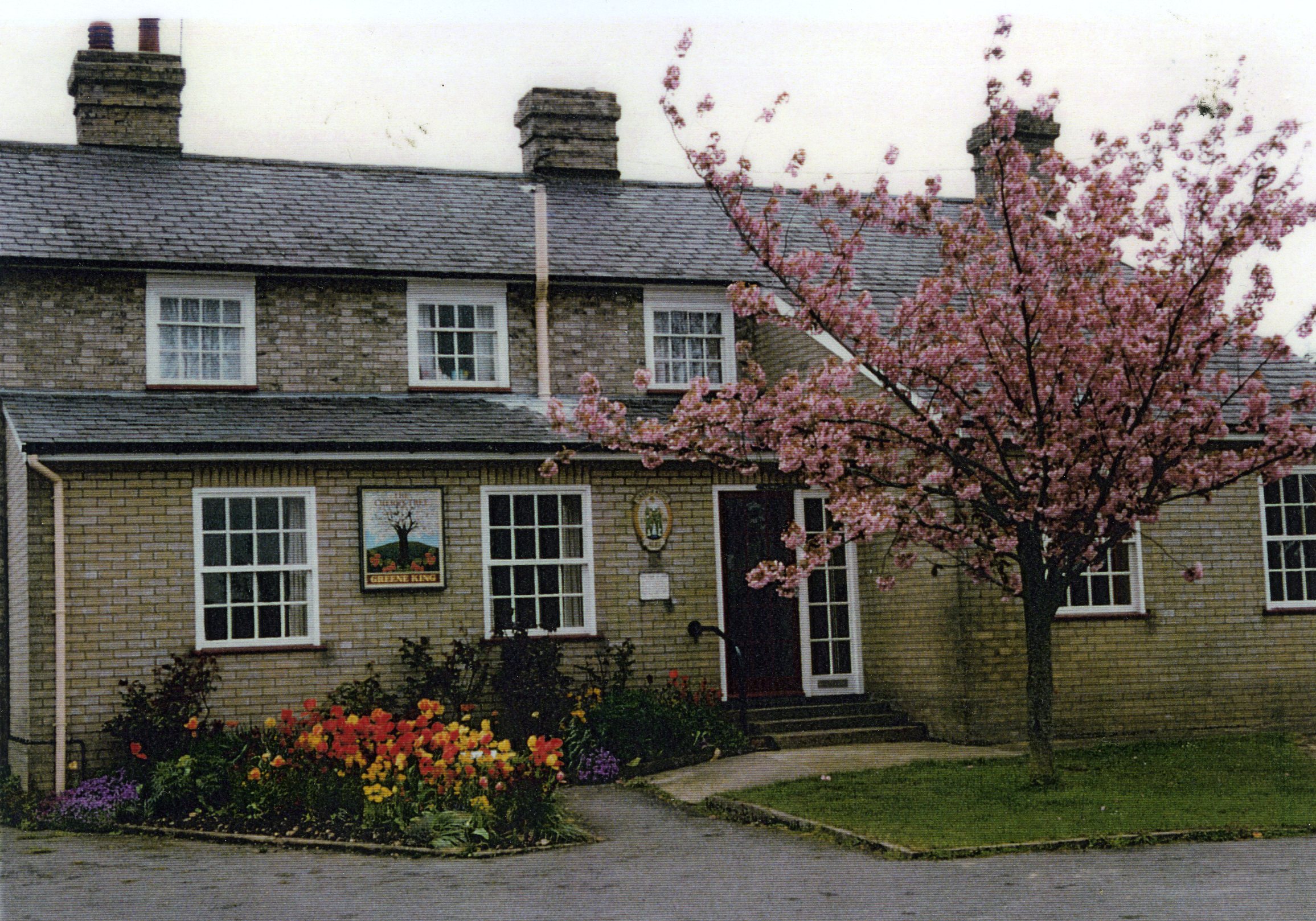 Cherry Tree 1970’s